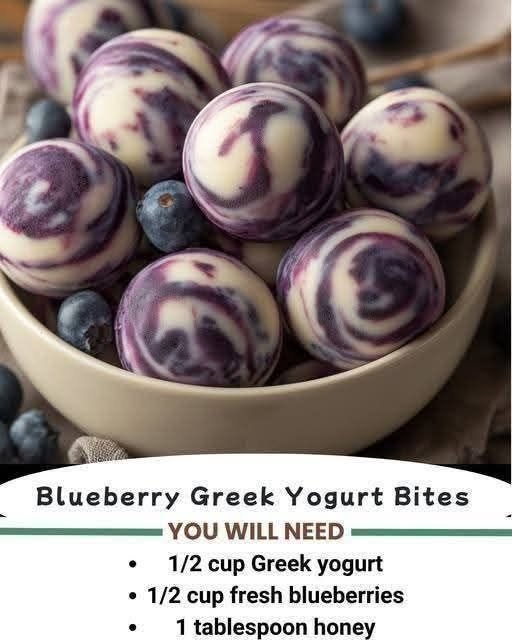 Blueberry Greek Yogurt Bites - Mensagem Diári